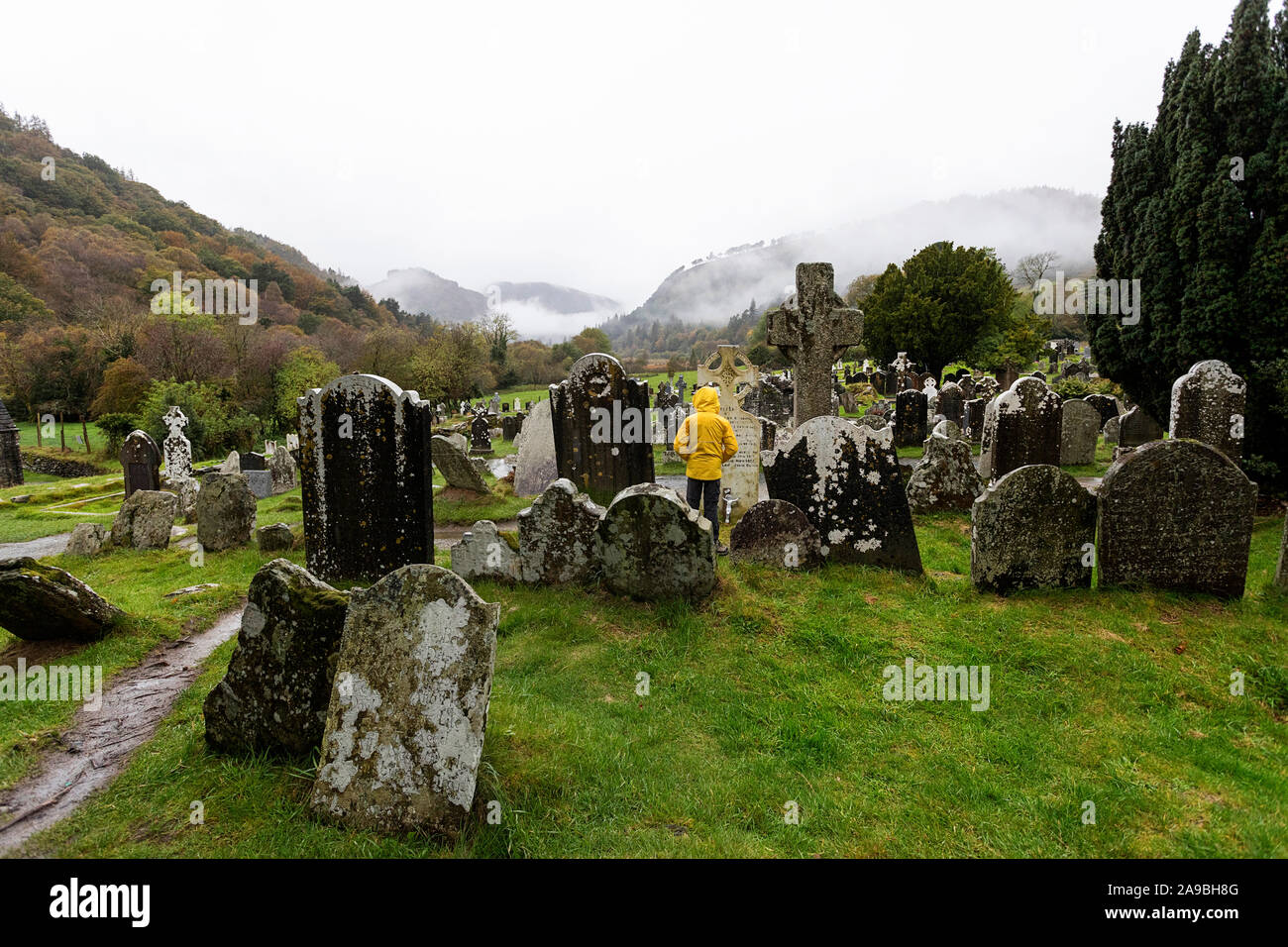 Hgcdfth hi-res stock photography and images - Alamy