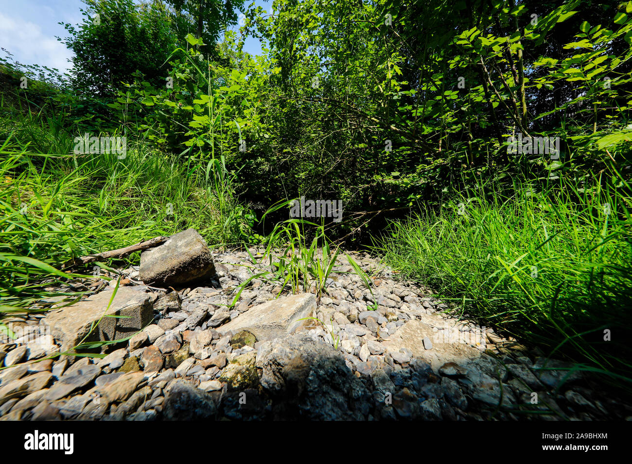 Brook Bed High Resolution Stock Photography and Images - Alamy