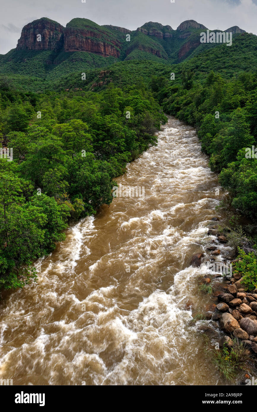 Springing from the rock hi-res stock photography and images - Alamy