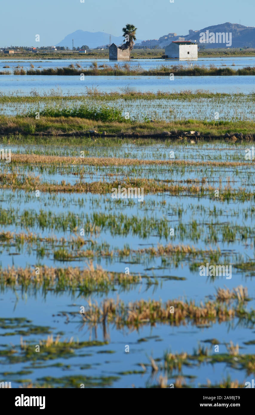 The Albufera natural park, a wetland of international importance in ...