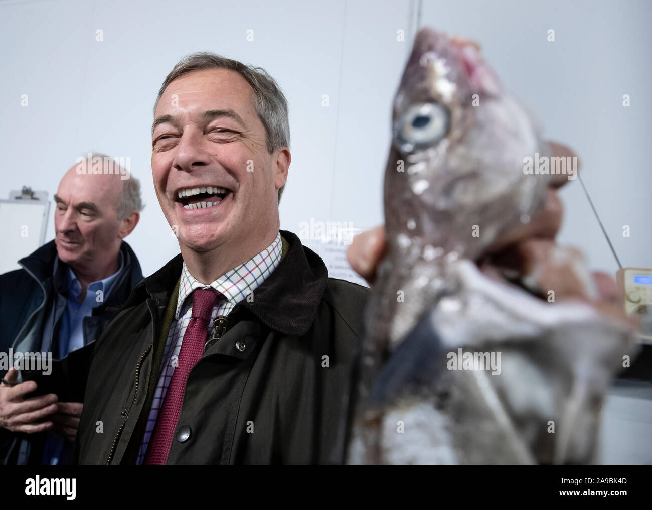 Nigel farage holds a fish during a stop at the grimsby seafood village ...
