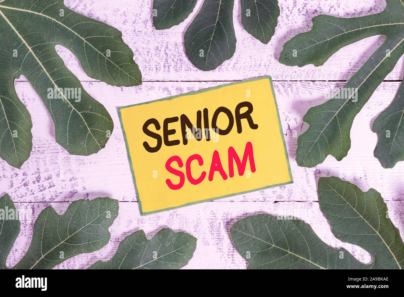 Handwriting text writing Senior Scam. Conceptual photo fraud schemes ...