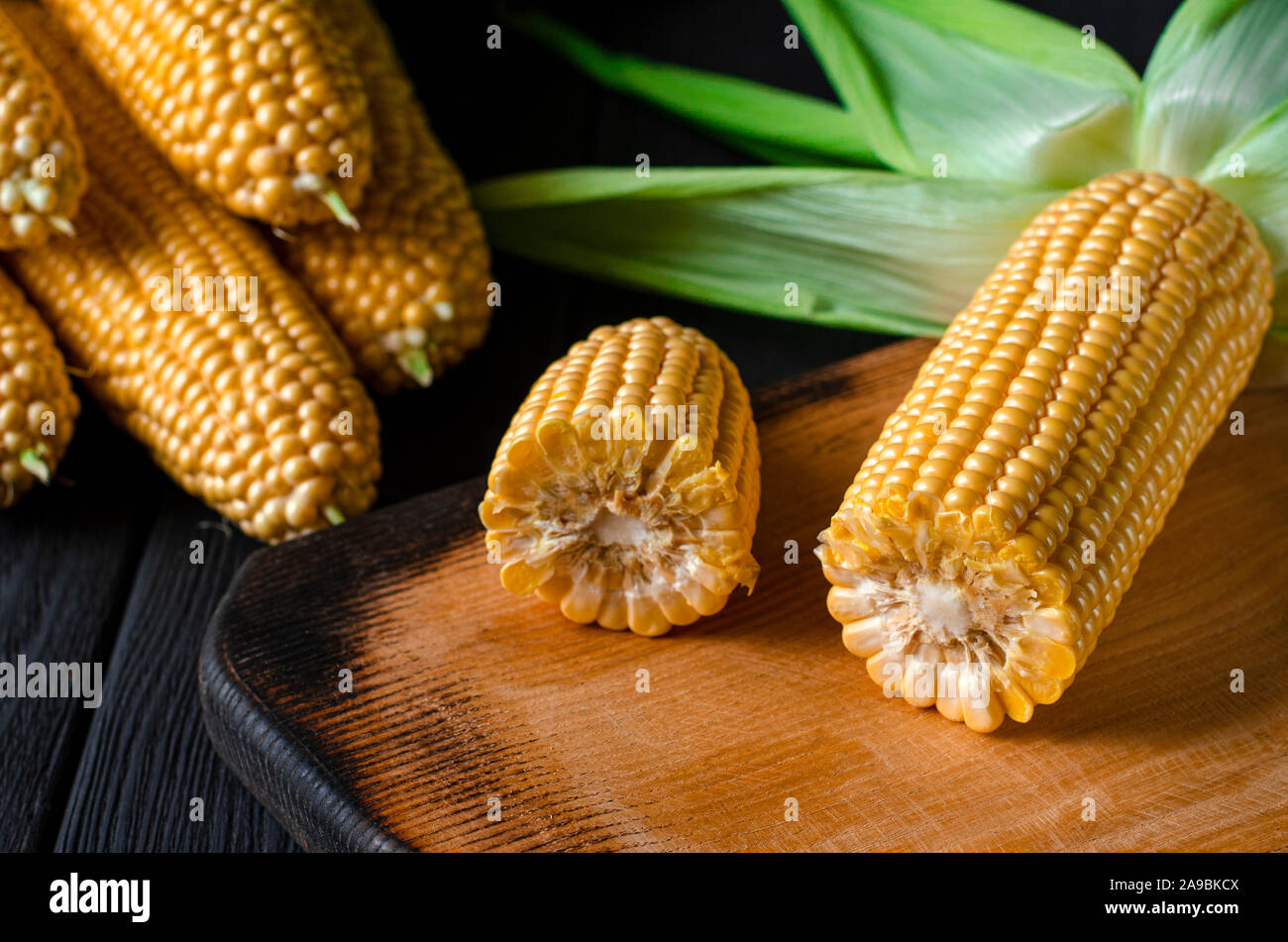 Popcorn tree leaves hi-res stock photography and images - Alamy