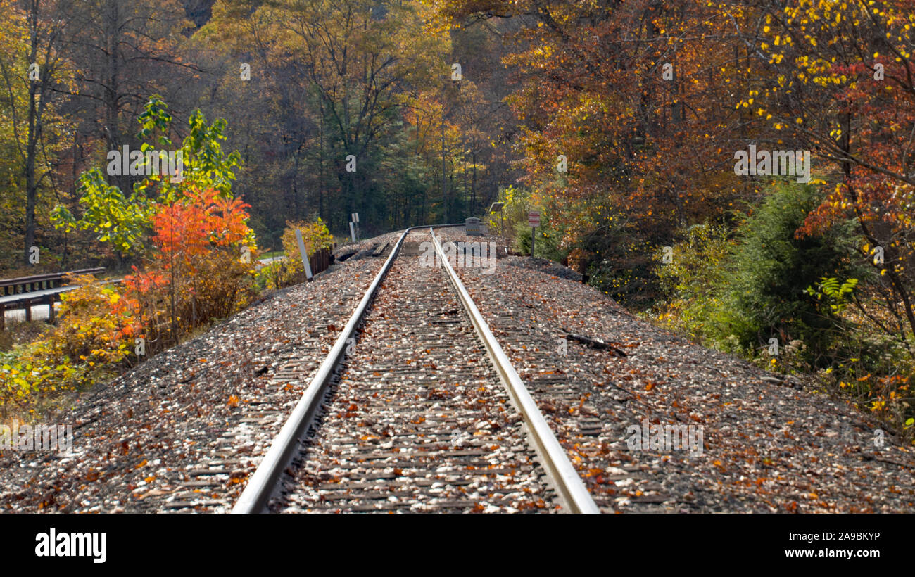 Railroad tracks during autumn Stock Photo - Alamy