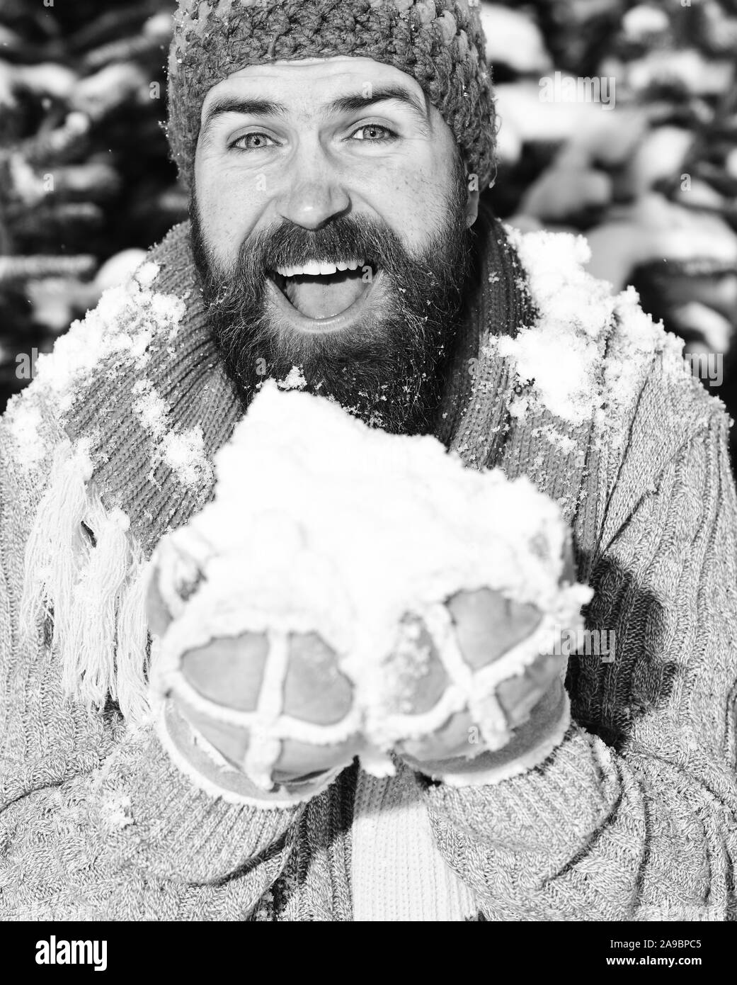 Macho with beard and mustache holds snow in his hands. Man wears ...