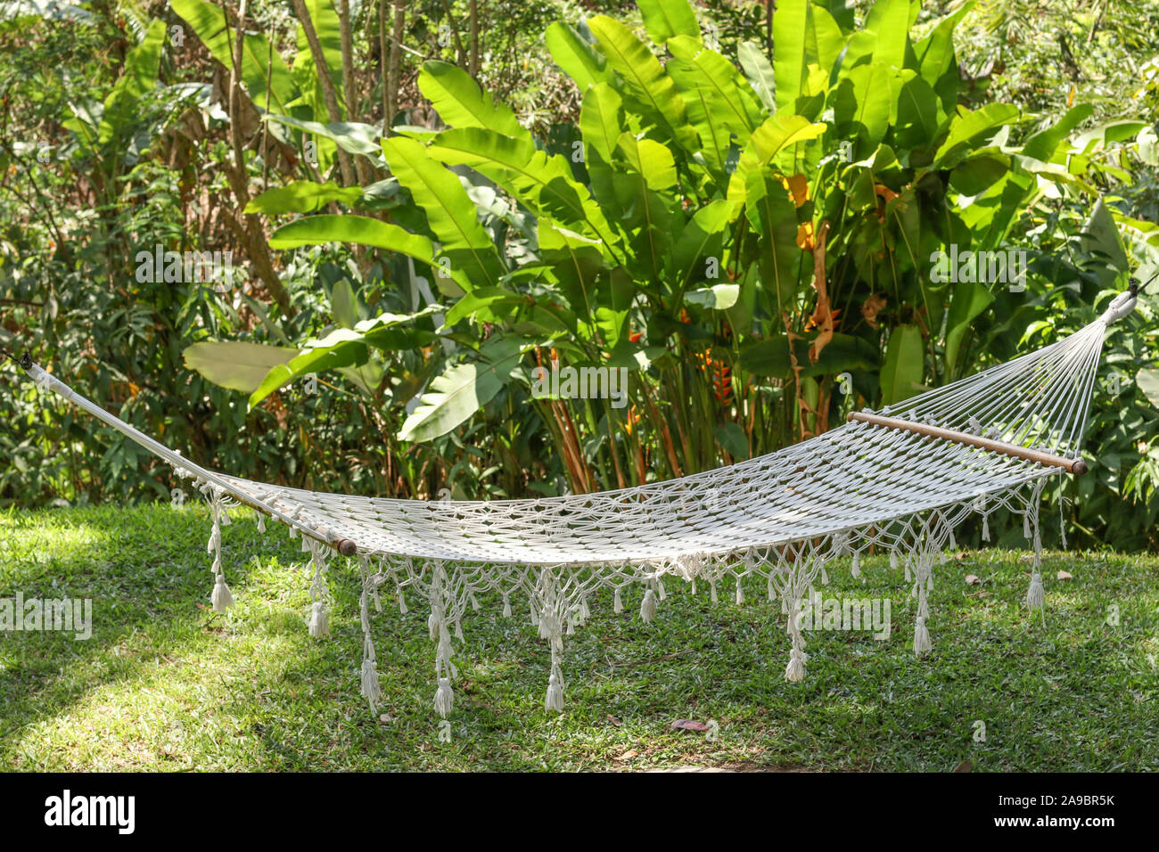 Cozy hammock between palms in a beautiful tropical garden in Bali ...