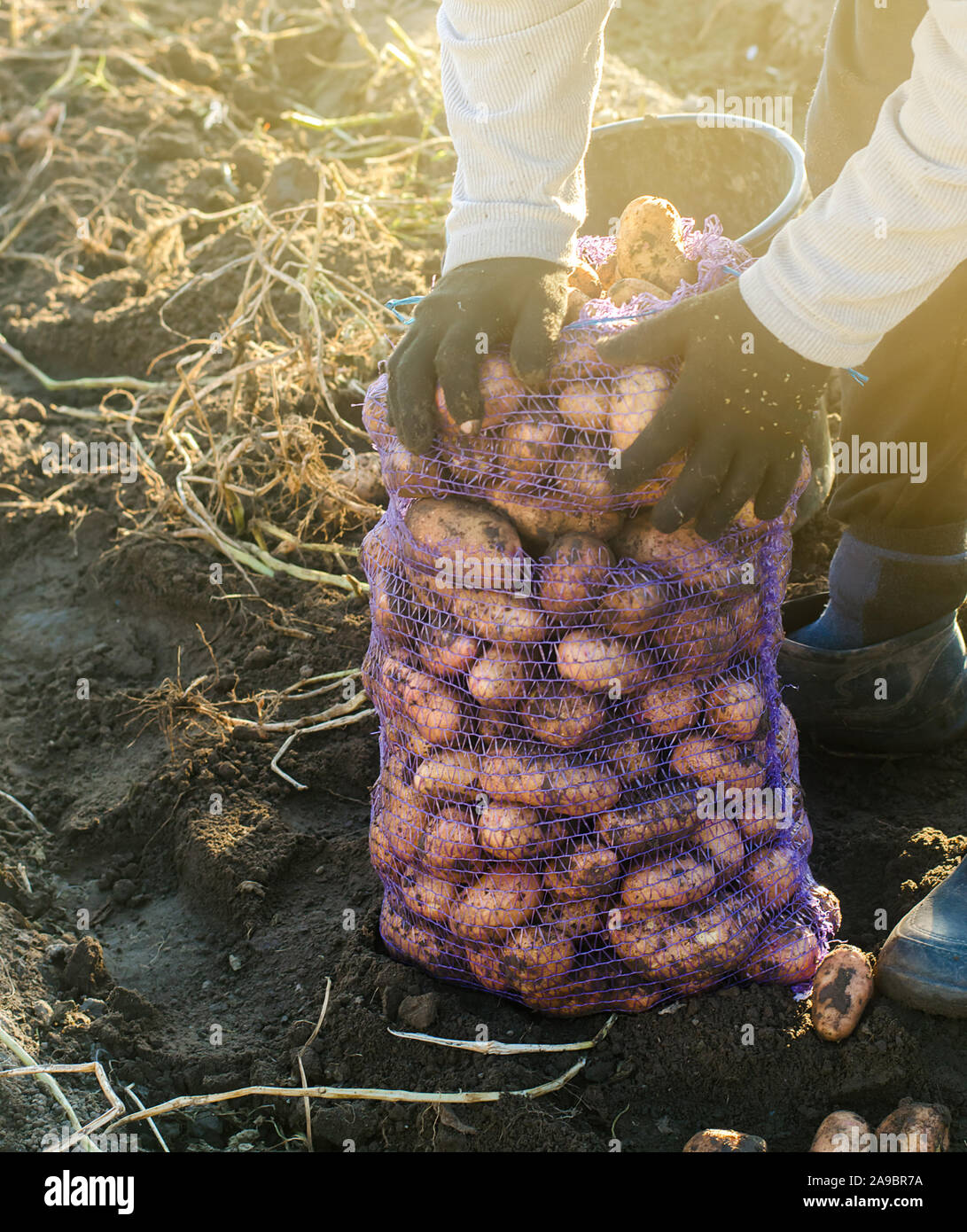 Bagging soil hi-res stock photography and images - Alamy