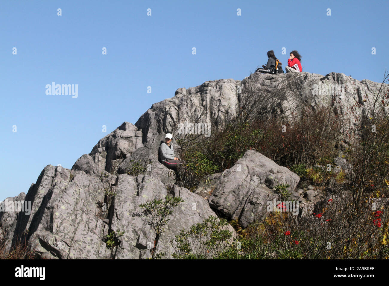 Grayson highlands state park hi-res stock photography and images - Alamy