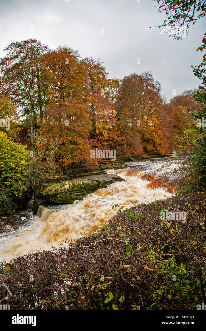 Aysgarth Falls, North Yorkshire, England, UK Stock Photo - Alamy