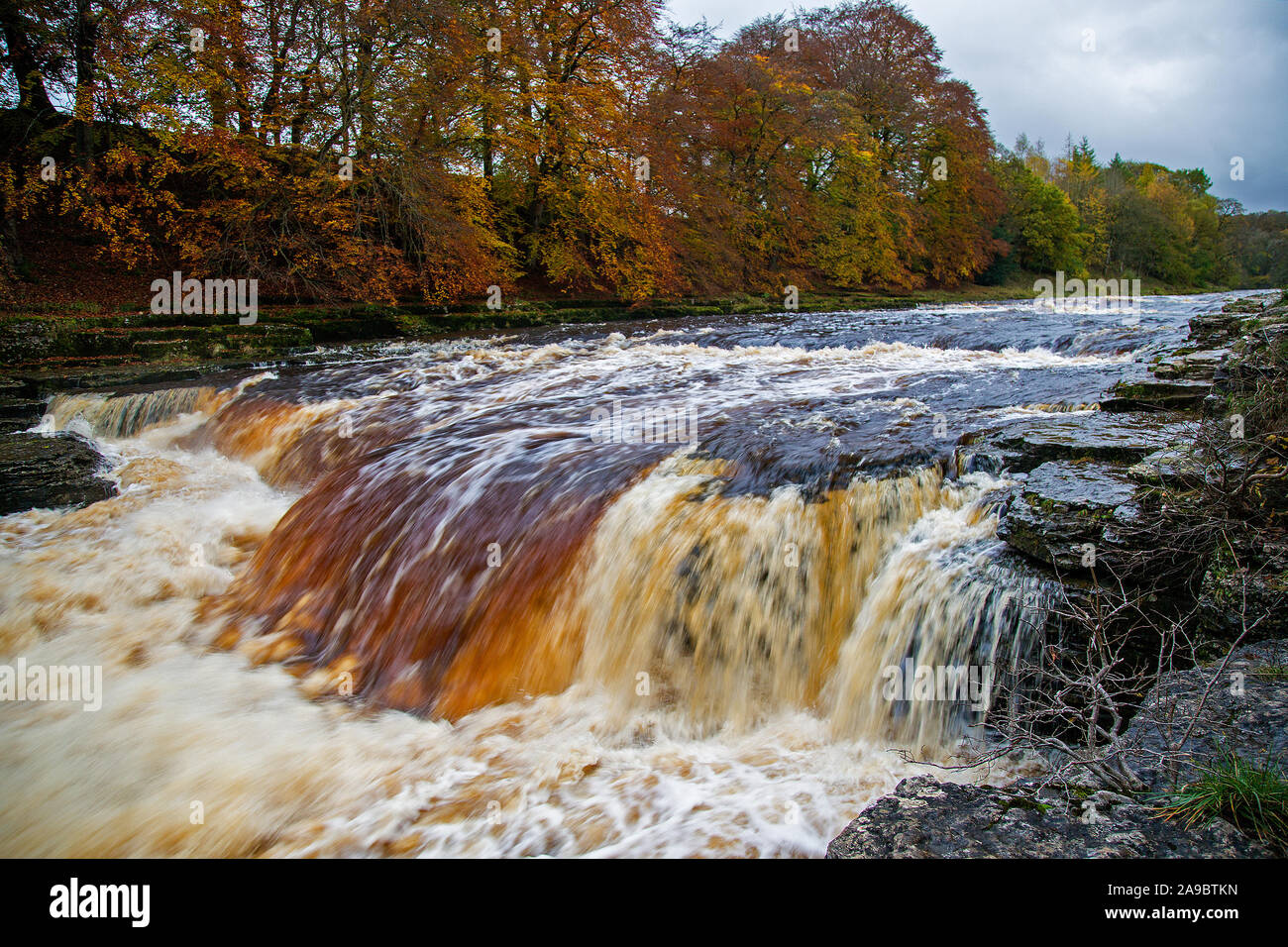 Aysgarth Falls, North Yorkshire, England, UK Stock Photo - Alamy