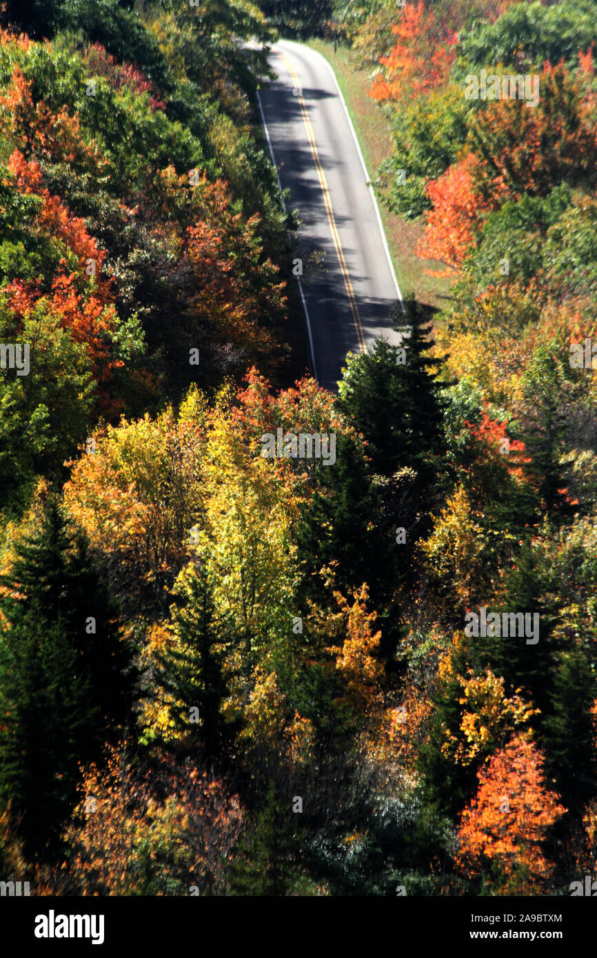 Trees changing colors. Landscape at Grayson Highlands State Park in ...