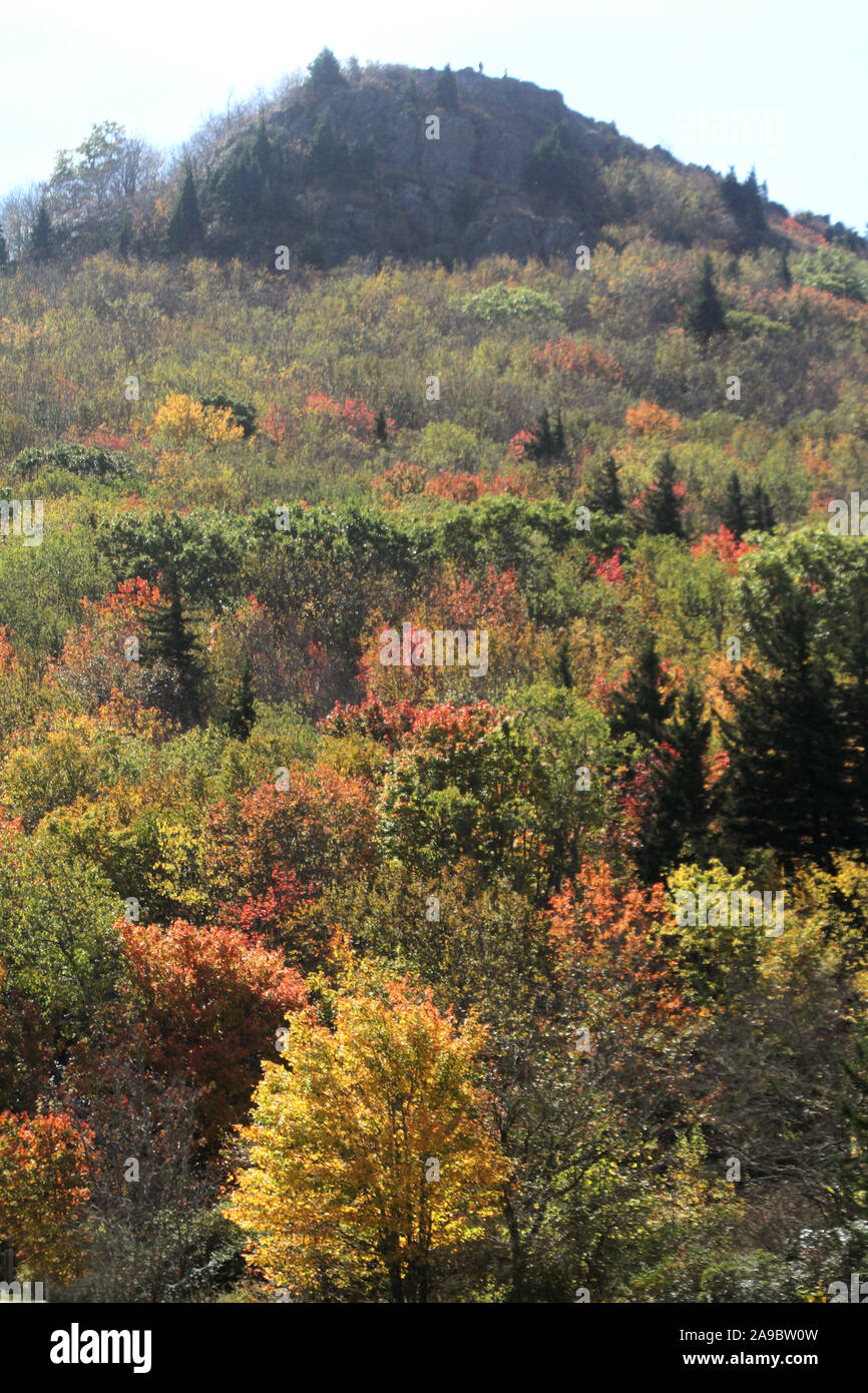 Trees changing colors. Landscape at Grayson Highlands State Park in ...