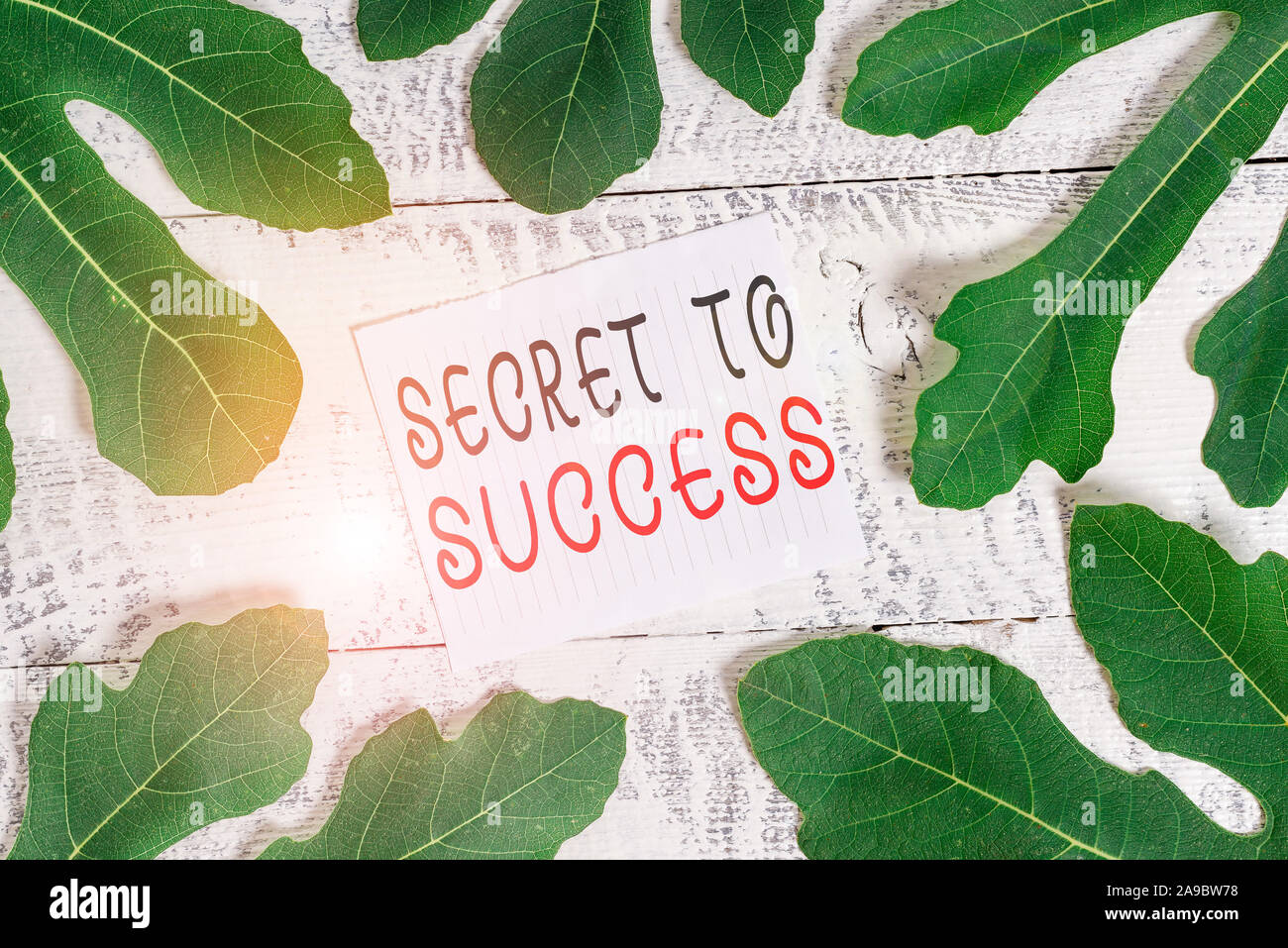 Conceptual hand writing showing Secret To Success. Concept meaning ...