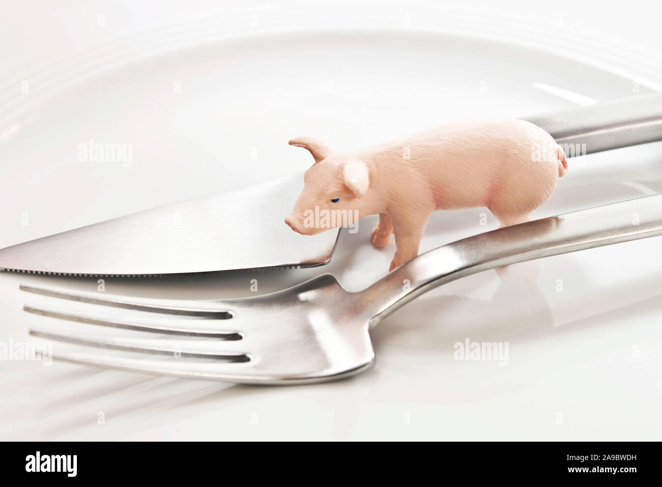 Eating pork concept and white background Stock Photo - Alamy