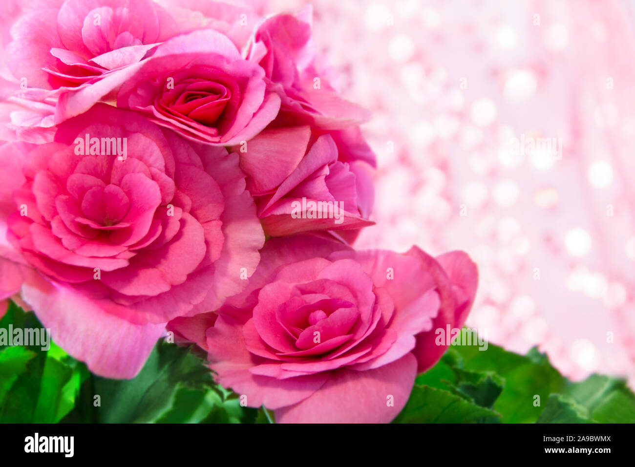 Wellness background with flowers Stock Photo - Alamy