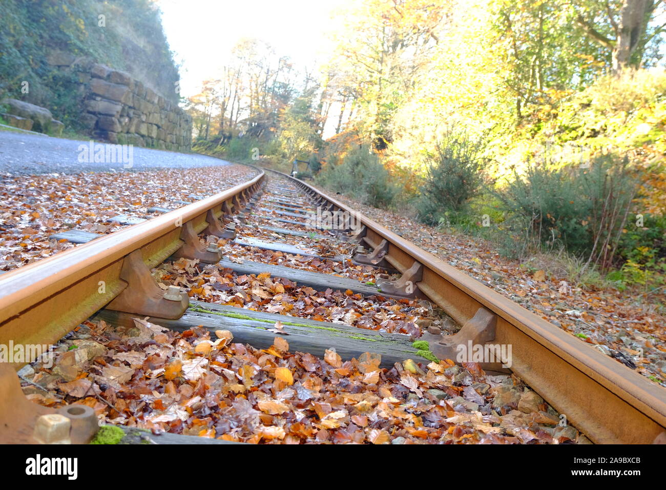 Autumn Leaves on rail tracks Stock Photo - Alamy