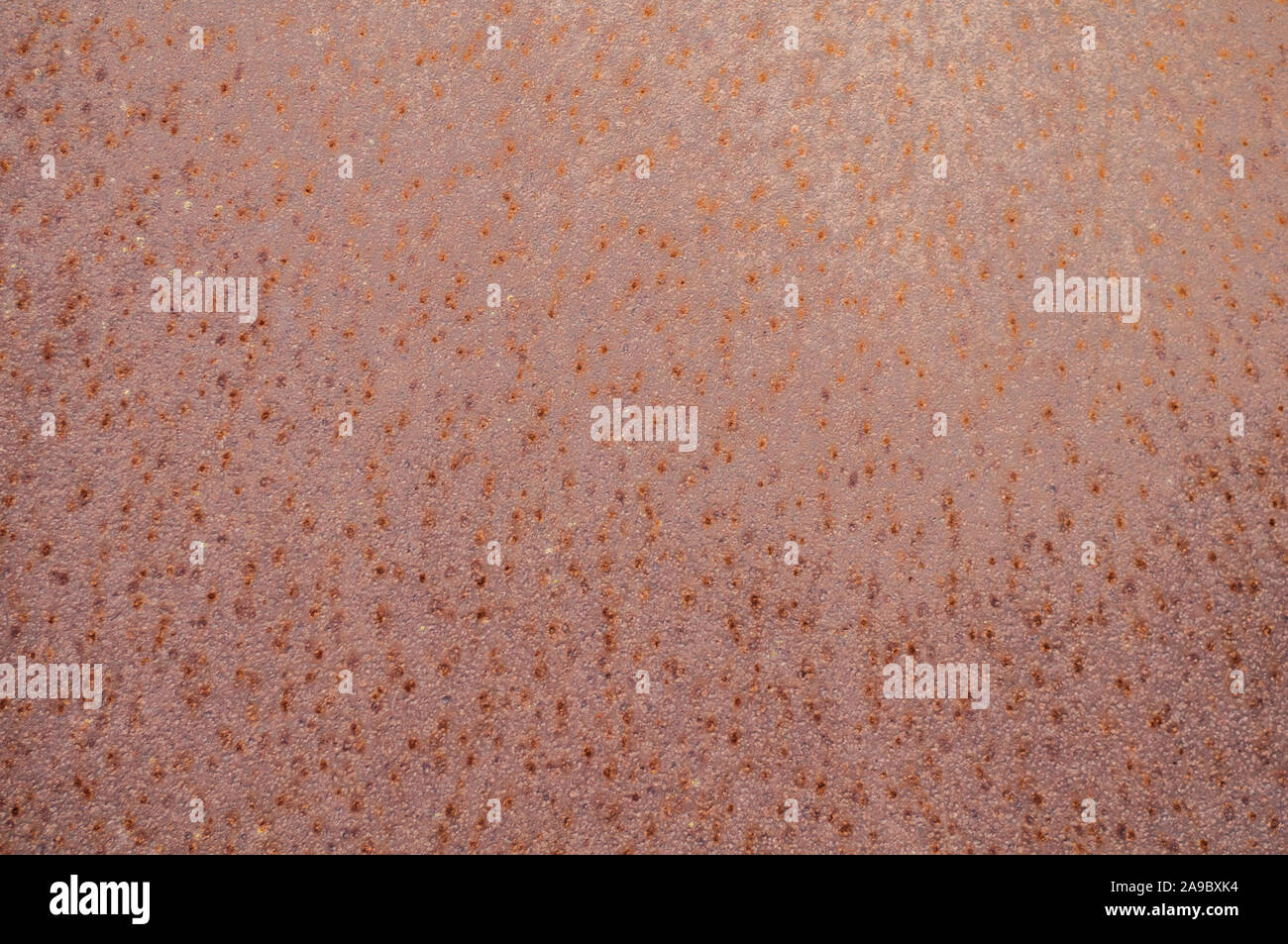iron texture with rust close-up, Bardo color Stock Photo - Alamy