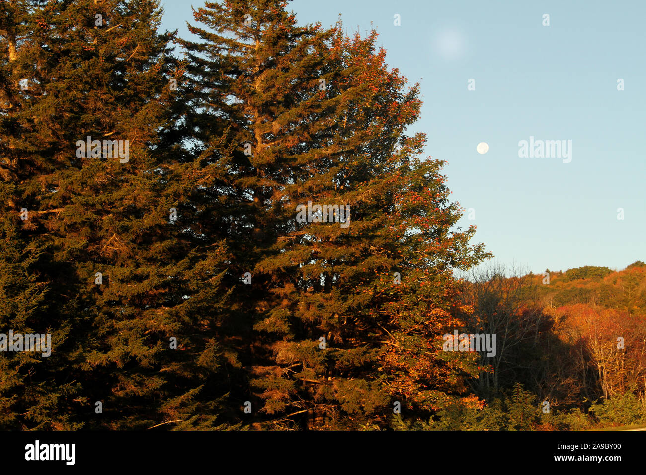 Full moon seen on clear blue sky in the morning. Landscape at Grayson ...