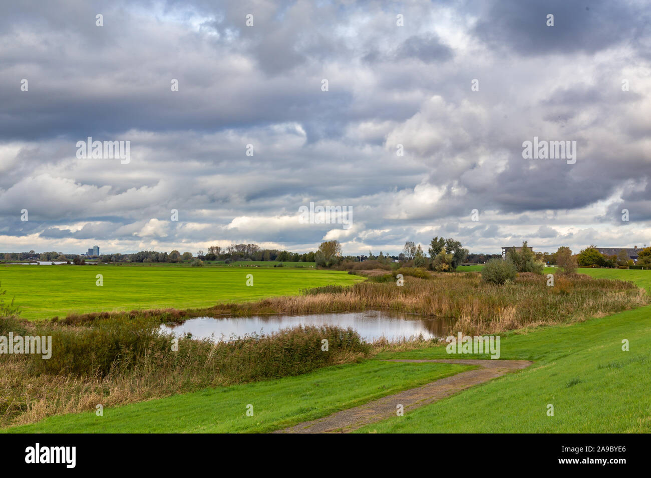 Dutch polder landscape near Zwolle with grassland , river, water and ...