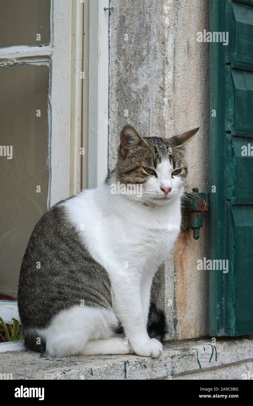 Windowledge hi-res stock photography and images - Alamy