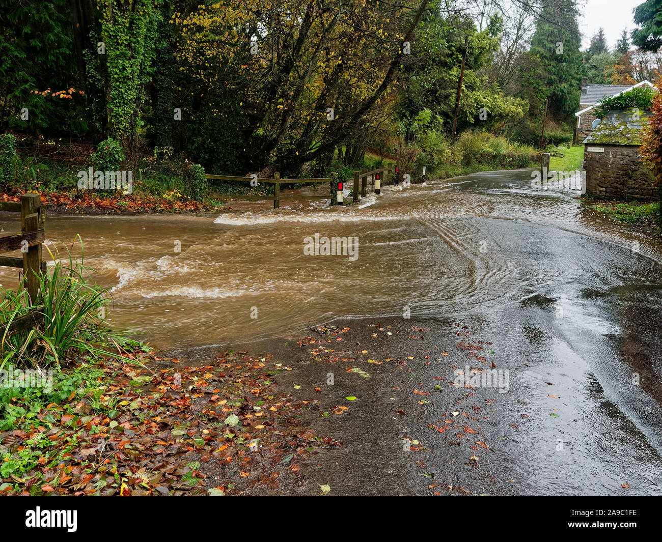 High water at Whitebrook, Wye Valley, UK Stock Photo - Alamy