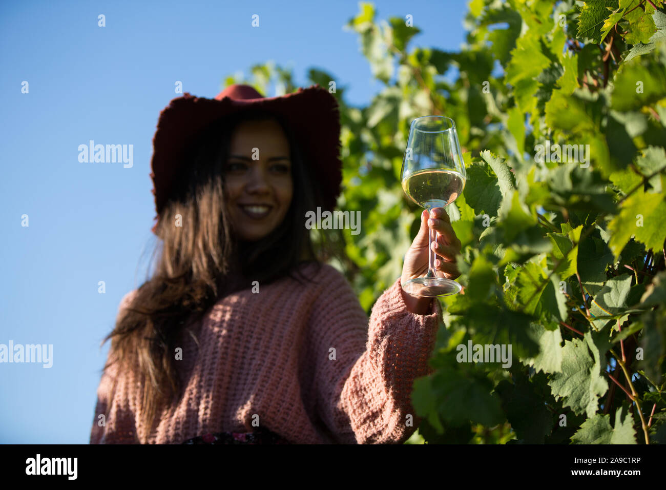 Smiling young woman looking down on her glass of wine in a vineyard ...