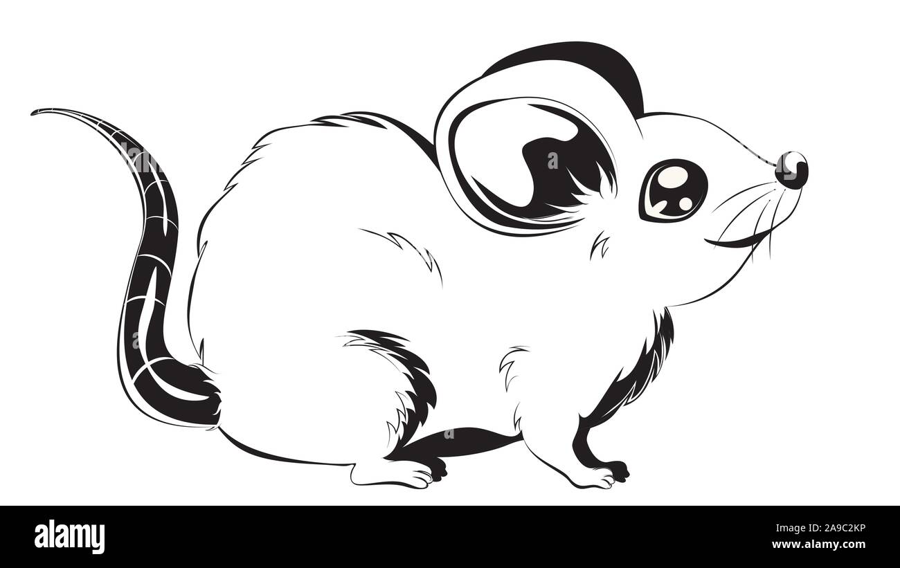Cute cartoon white mouse or rat design illustration Stock Vector Image ...