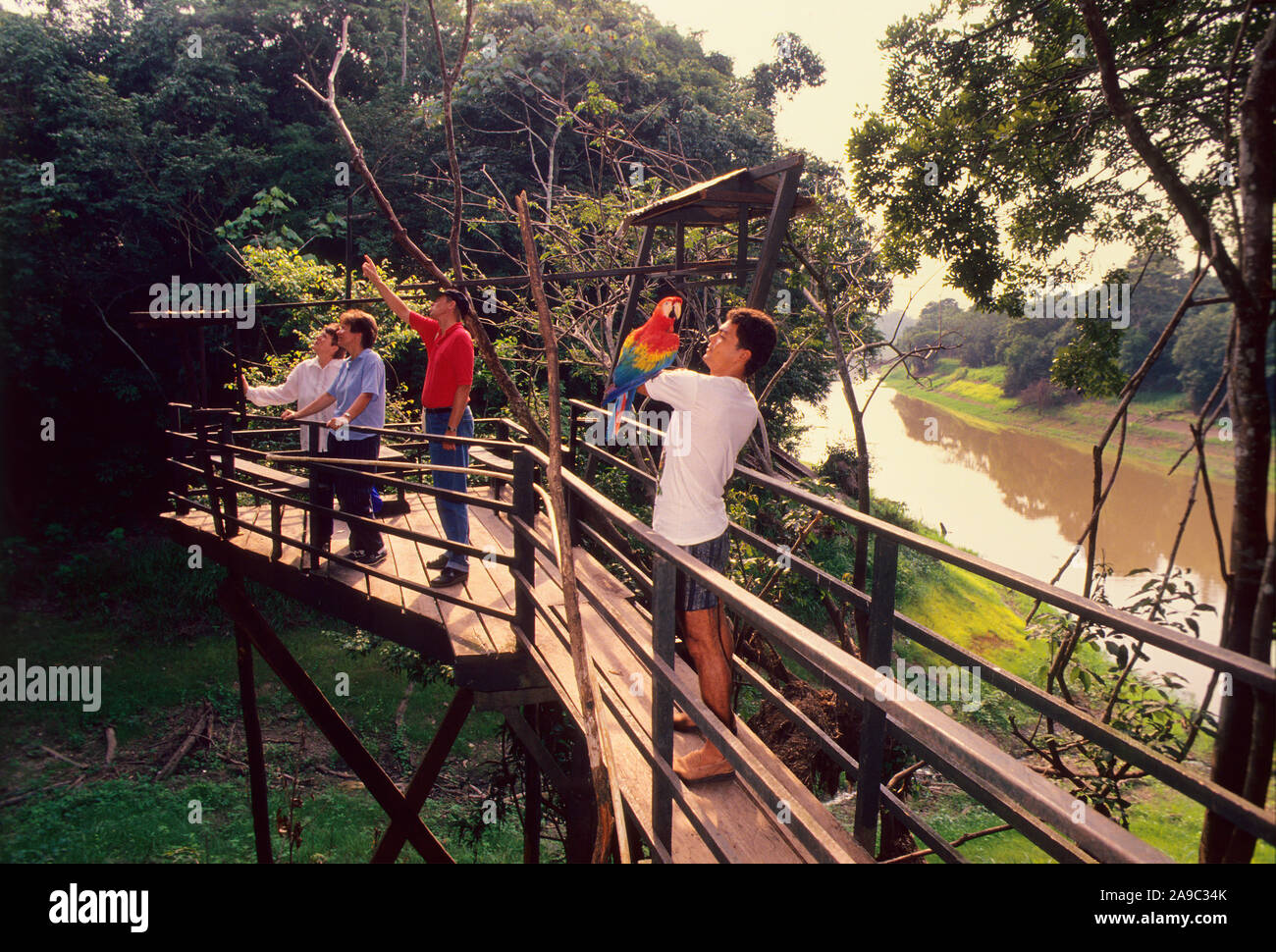 Parrot tower towers hi-res stock photography and images - Alamy