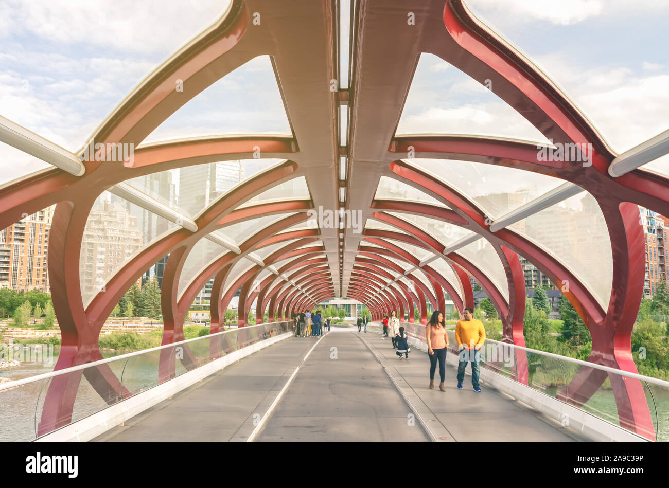 The structure of Peace Bridge at Prince's Island Park, Calgary, Alberta ...