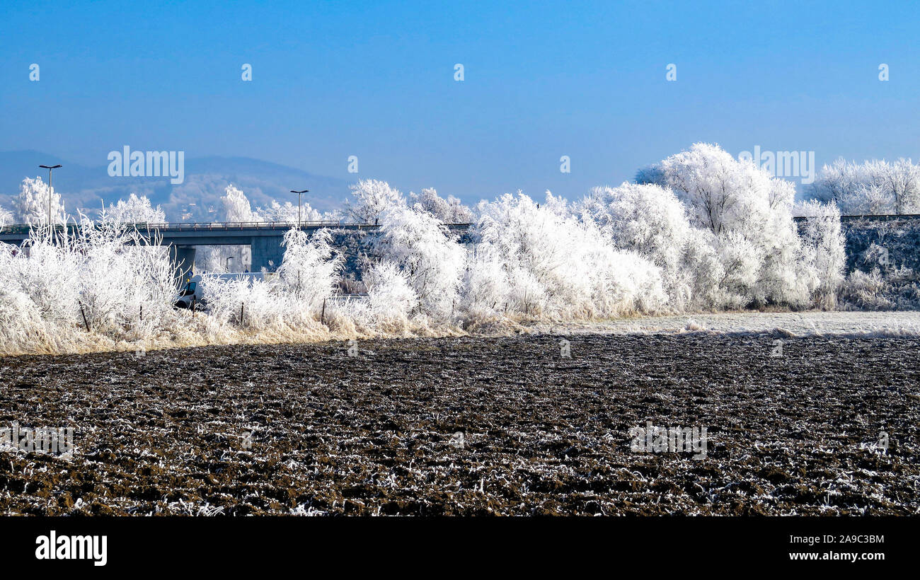 The first frost and winter break! Stock Photo - Alamy