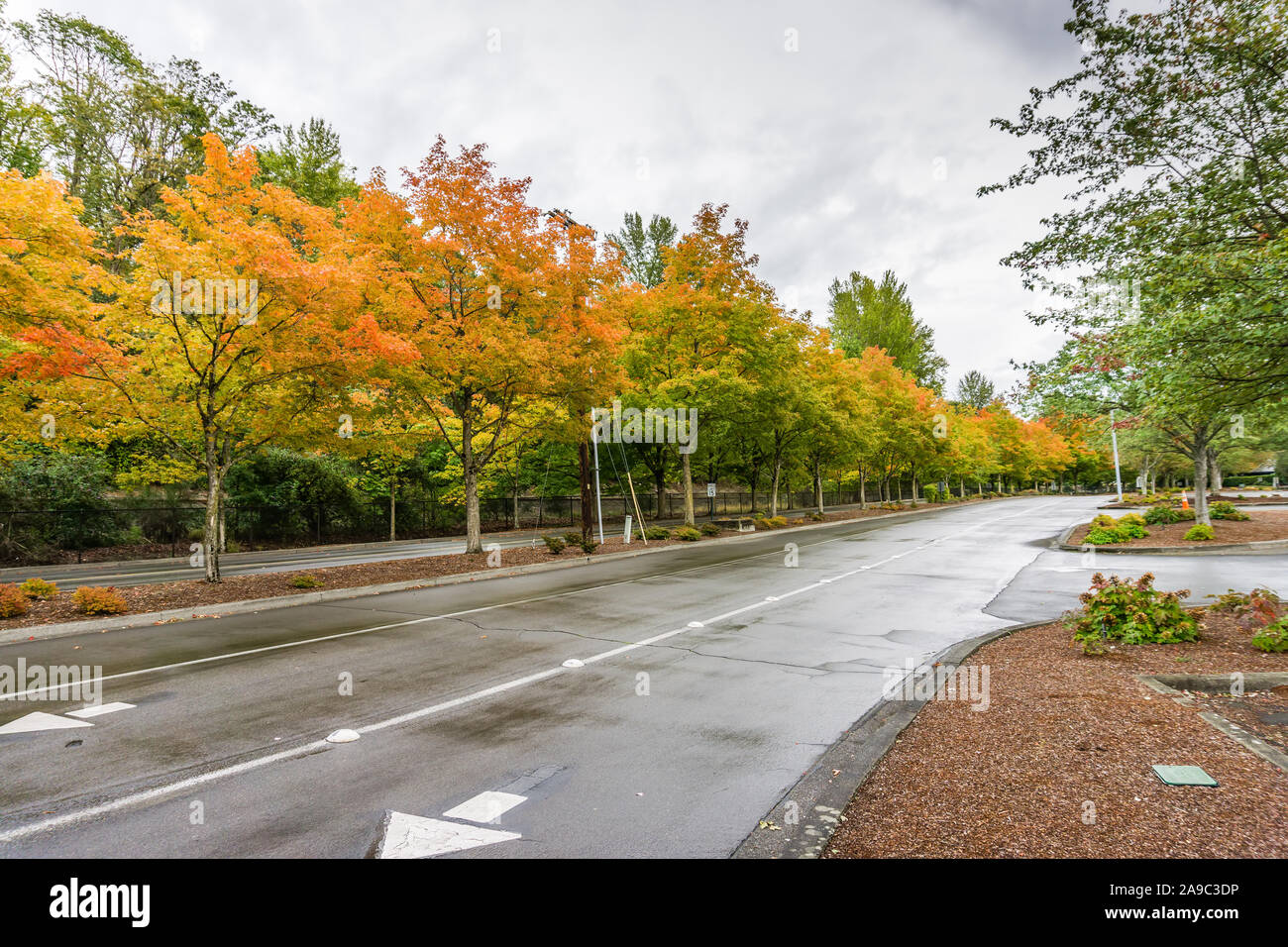 Trees are bursting with autumn colors at Gene Coulon Park in Renton, Washington Stock Photo - Alamy