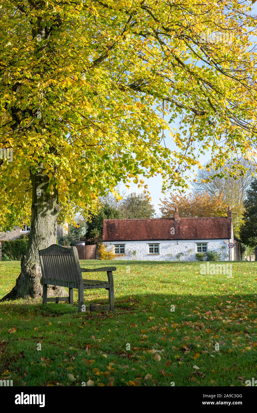 White cottage and autumn trees. Cassington, Oxfordshire, England Stock ...