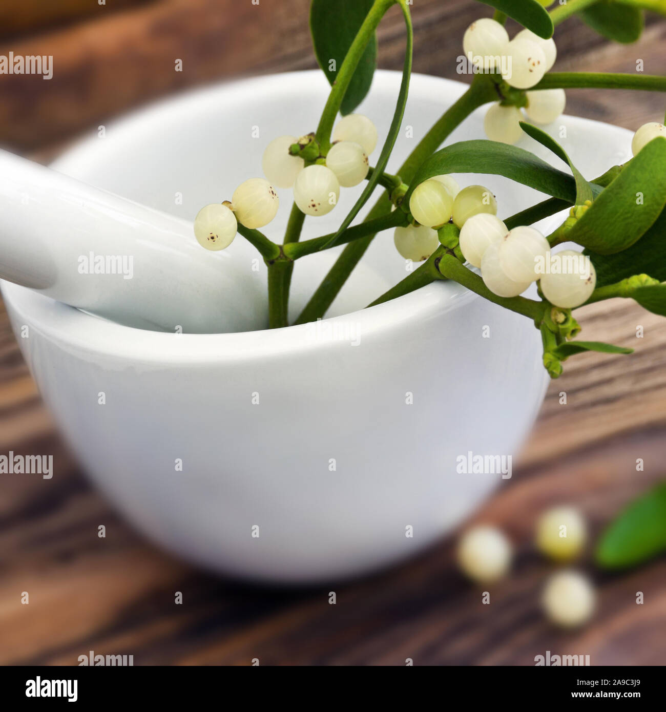 Mistletoe Therapy High Resolution Stock Photography and Images - Alamy