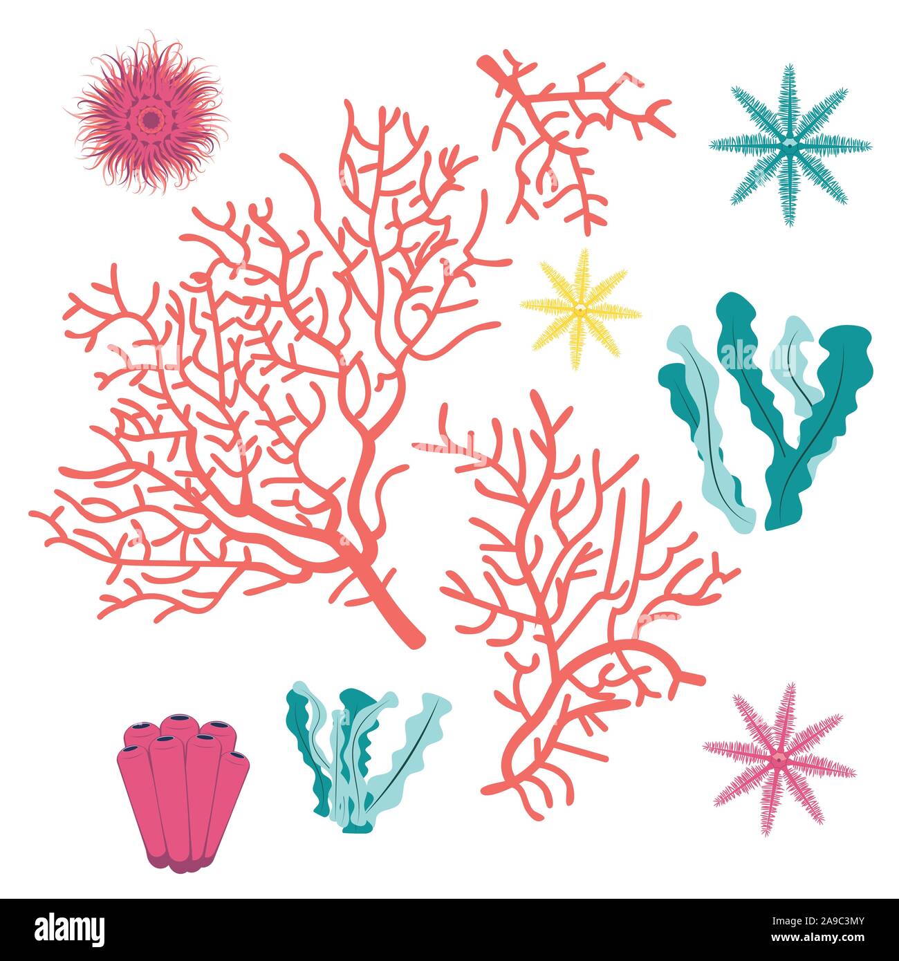 Seaweed and coral reef, marine themed abstract design illustration ...