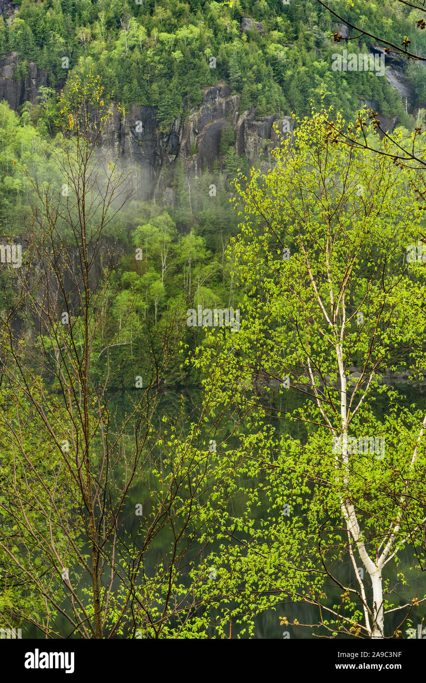 Spring trees at Chapel Pond, Adirondack Mountains, Essex County, New ...