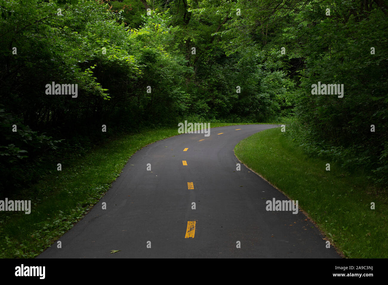 Bike Path in Woods Stock Photo - Alamy