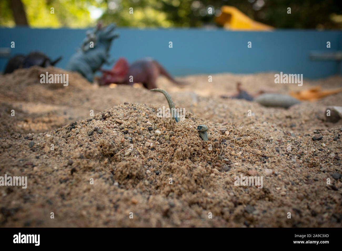 Dinosaurs in sandbox Stock Photo - Alamy