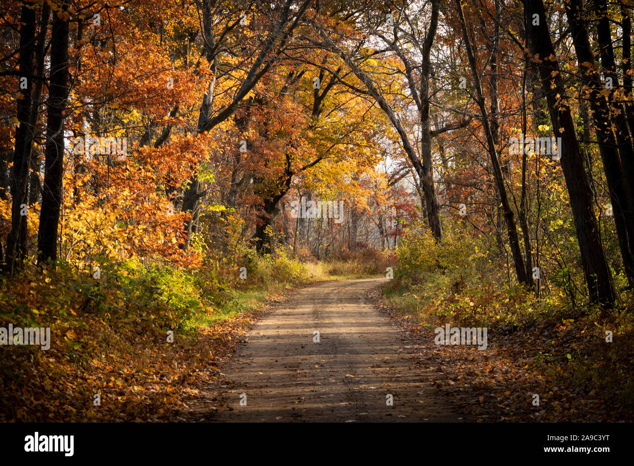 Dirt Road with Fall Color Stock Photo - Alamy