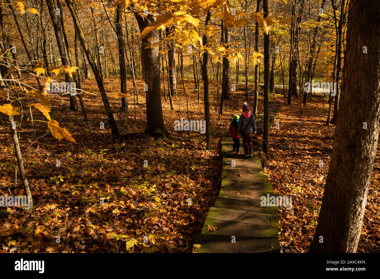 park trail with fall color Stock Photo - Alamy