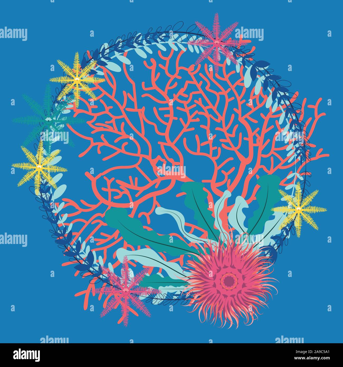 Coral Graphic Design