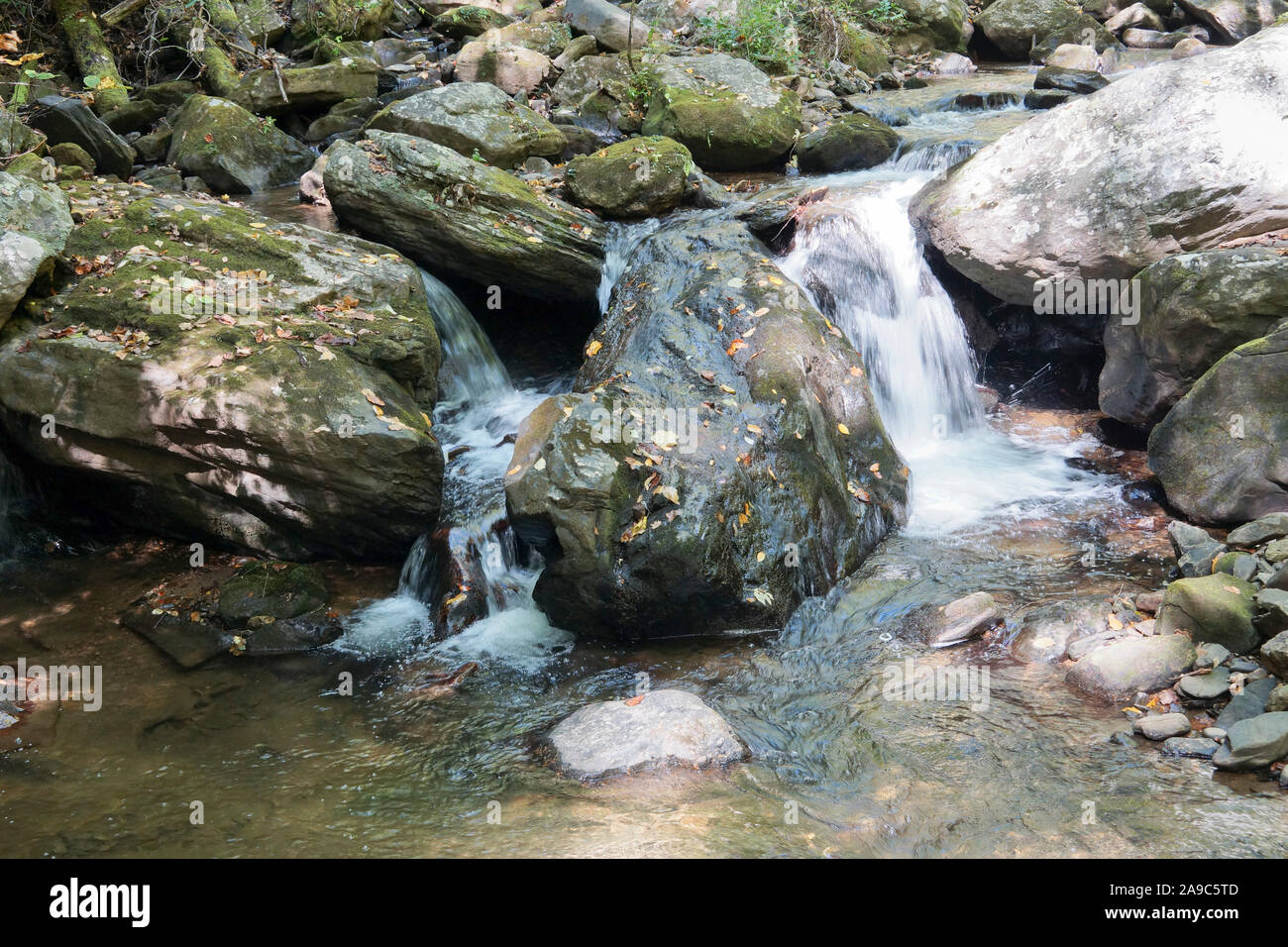 Anna Ruby waterfalls in Georgia, USA Stock Photo - Alamy
