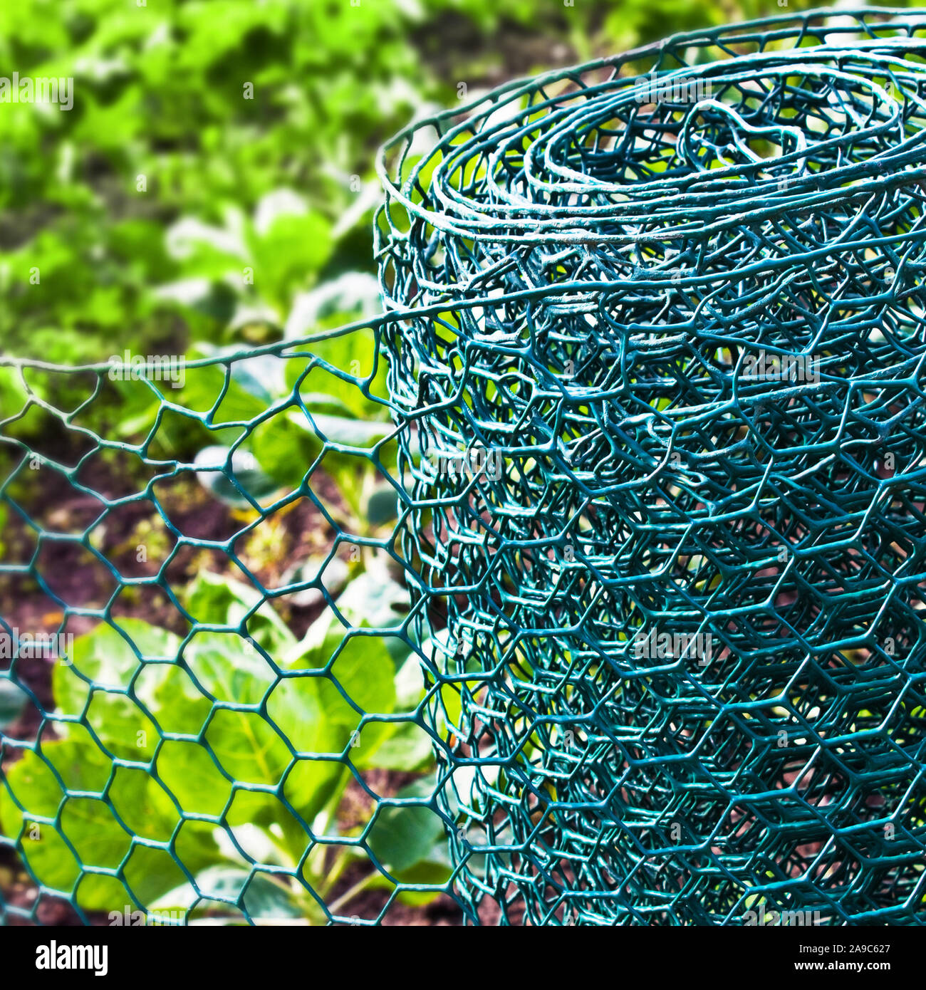 Vegetables garden and wire fence close up Stock Photo - Alamy
