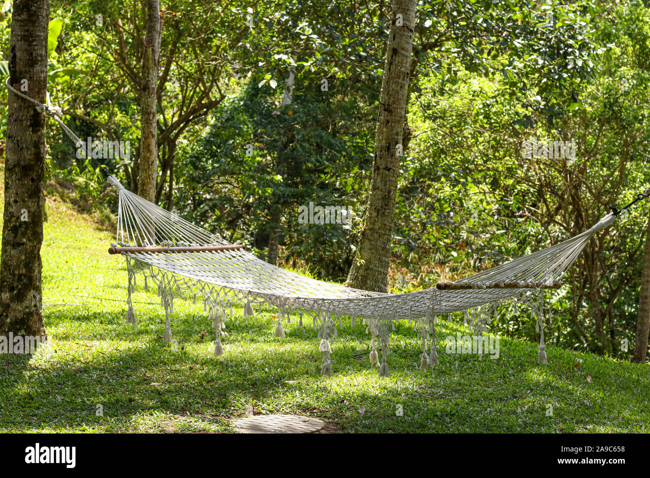 Cozy hammock between palms in a beautiful tropical garden in Bali ...