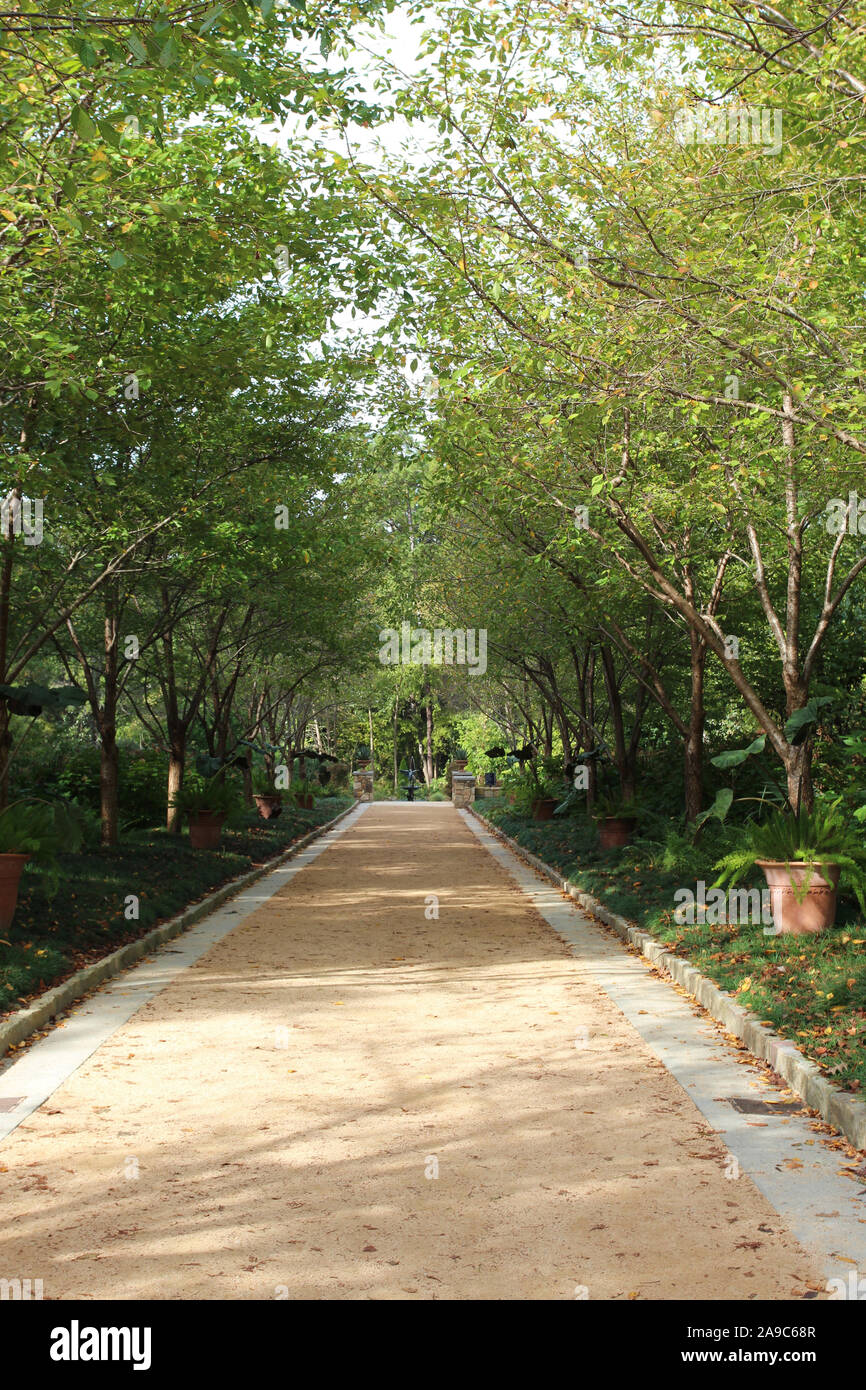 Durham north carolina trees hi-res stock photography and images - Alamy