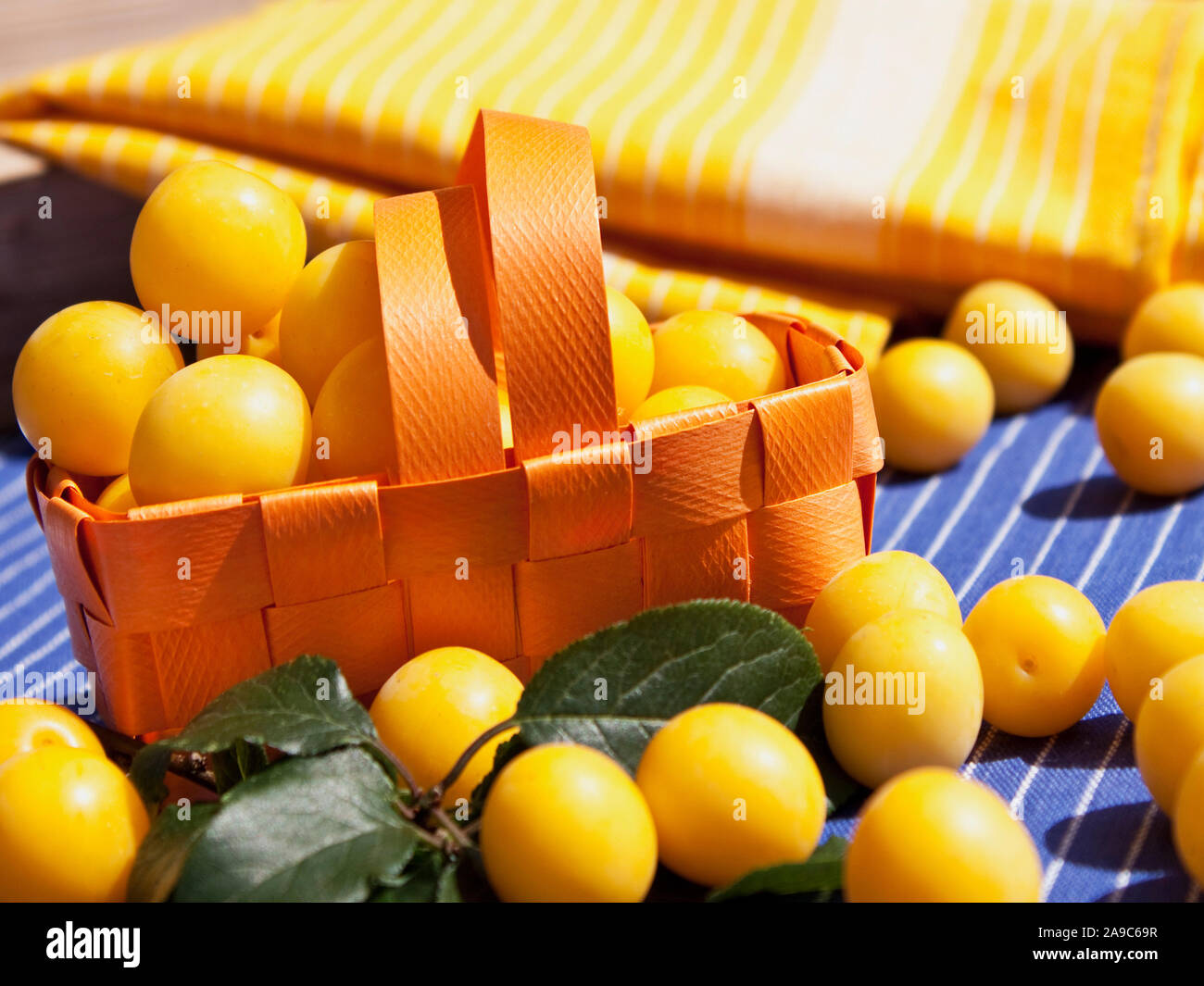 Mirabelles yellow plums close up Stock Photo - Alamy
