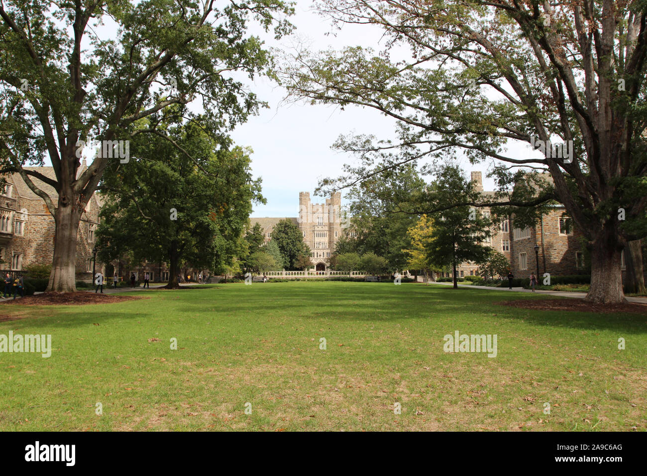 A long expanse of grass in front of the Davison Quad building at Duke ...