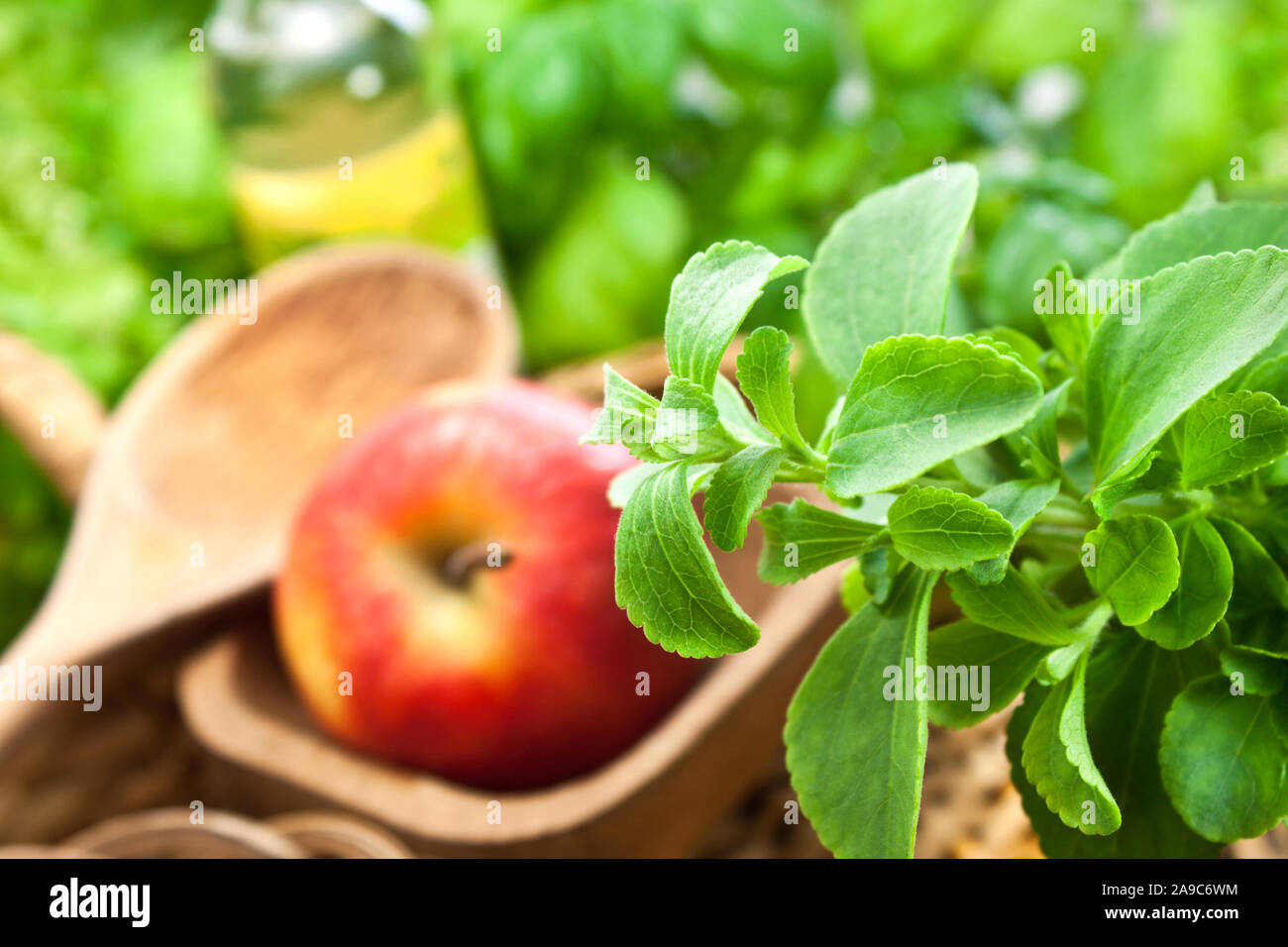Stevia leaves kitchen hi-res stock photography and images - Alamy