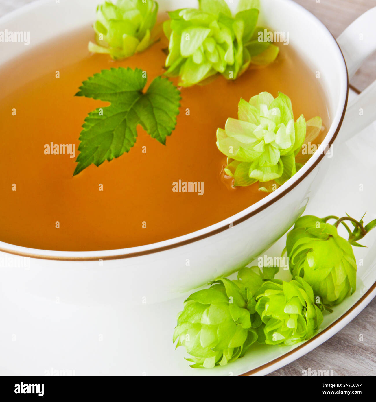 Hop tea hi-res stock photography and images - Alamy