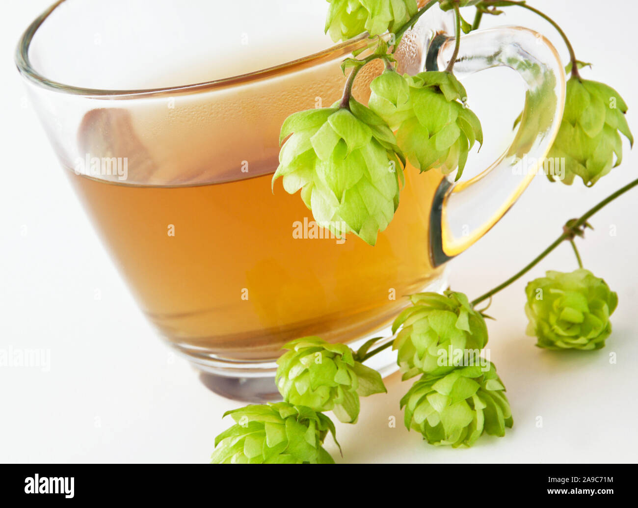 Hop tea hi-res stock photography and images - Alamy