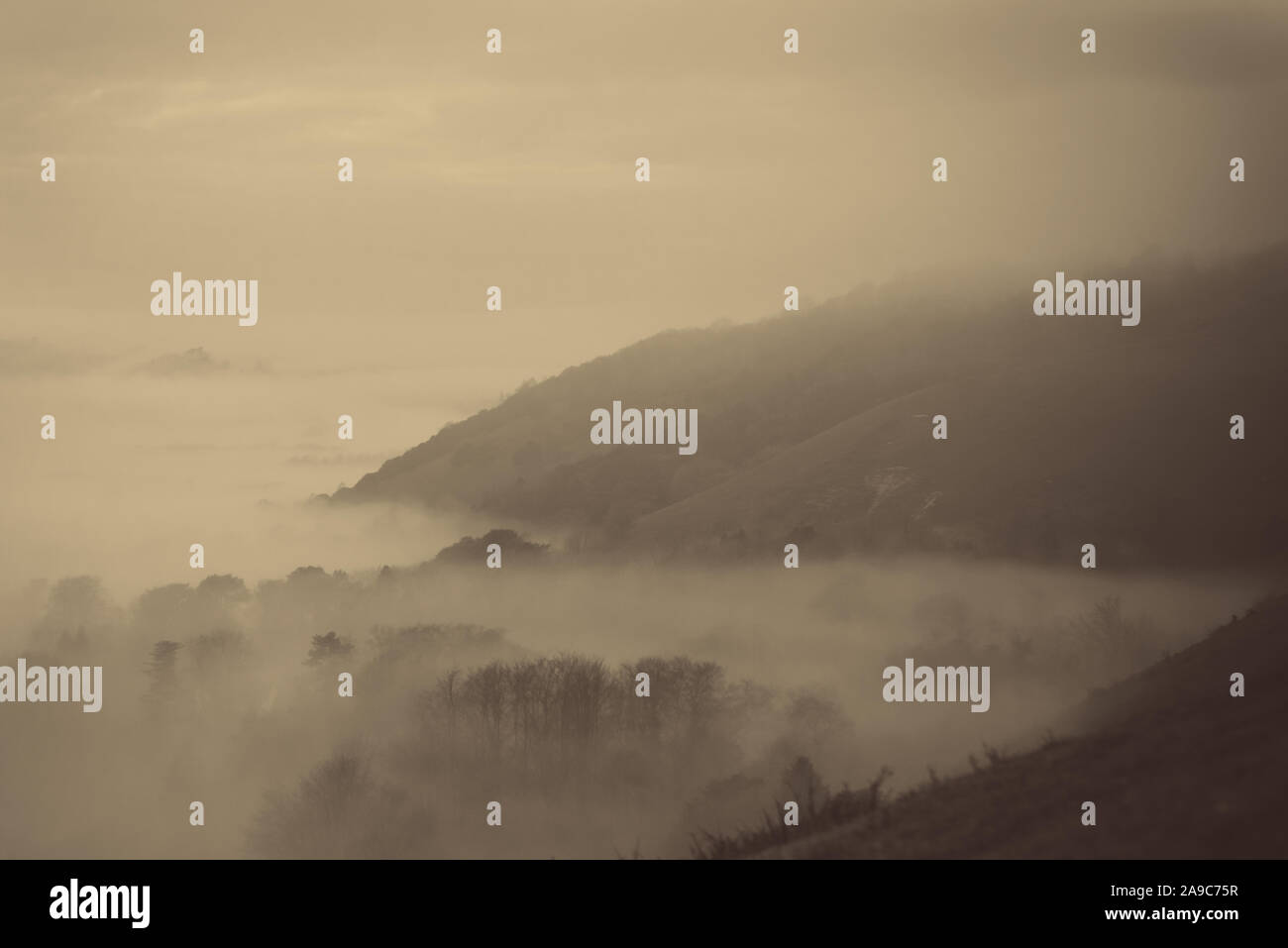 Train Tracks Into The Mist Stock Photo - Alamy